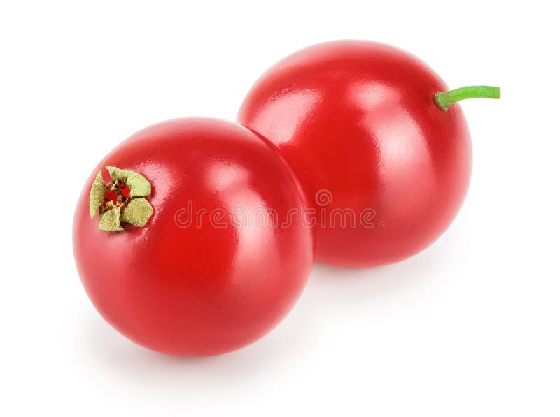 Red Currant Berry with Leaf Isolated on White Background. Top View ...