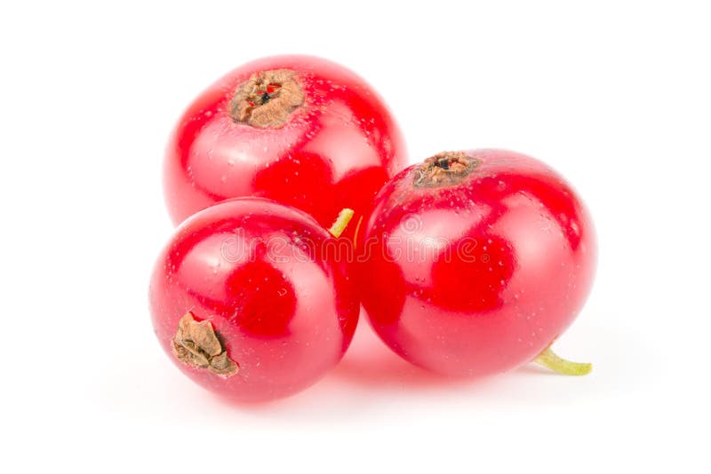 Red Currant Berry with Leaf Isolated on White Background. Top View ...