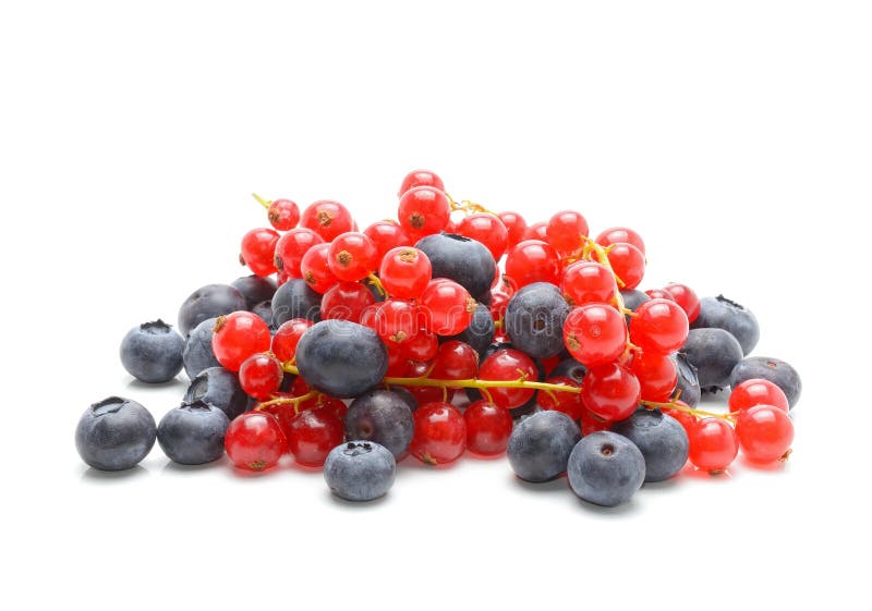 Red Currant and Blueberries Stock Image - Image of food, organic: 66785961
