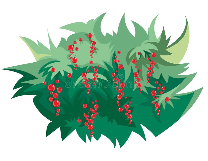 Red Currant Bush Stock Illustrations – 510 Red Currant Bush Stock ...