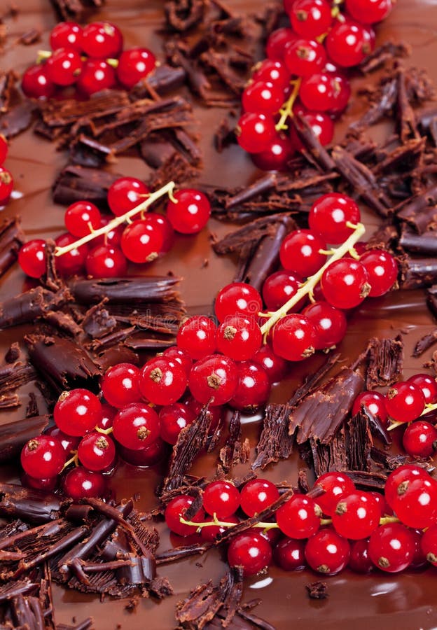 Red currant with chocolate stock photo. Image of nourishment - 154188318