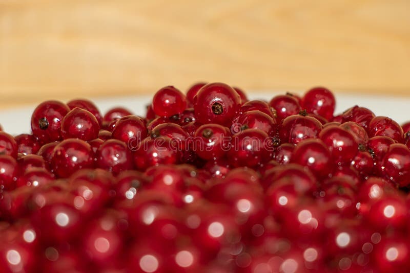 Red Currant Close Up Juicy and Fresh Stock Image - Image of vitamin ...