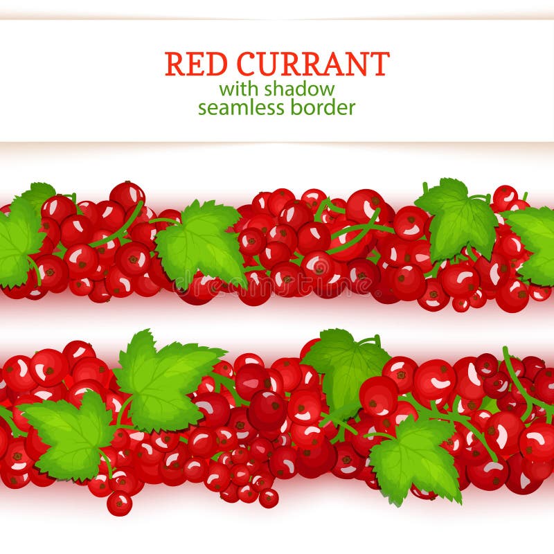 Red Currant Fruit Horizontal Seamless Borders. Vector Illustration Card ...