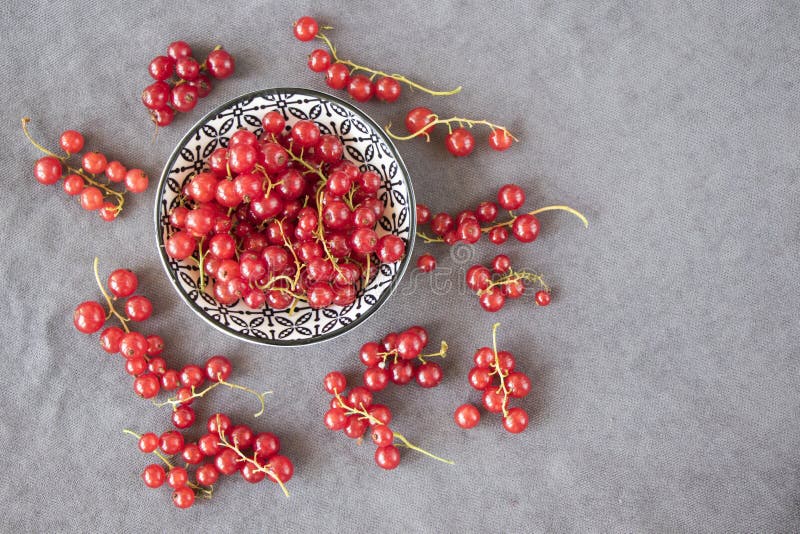 Red Currant on the Gray Cloth Background. Large Group Stock Photo ...