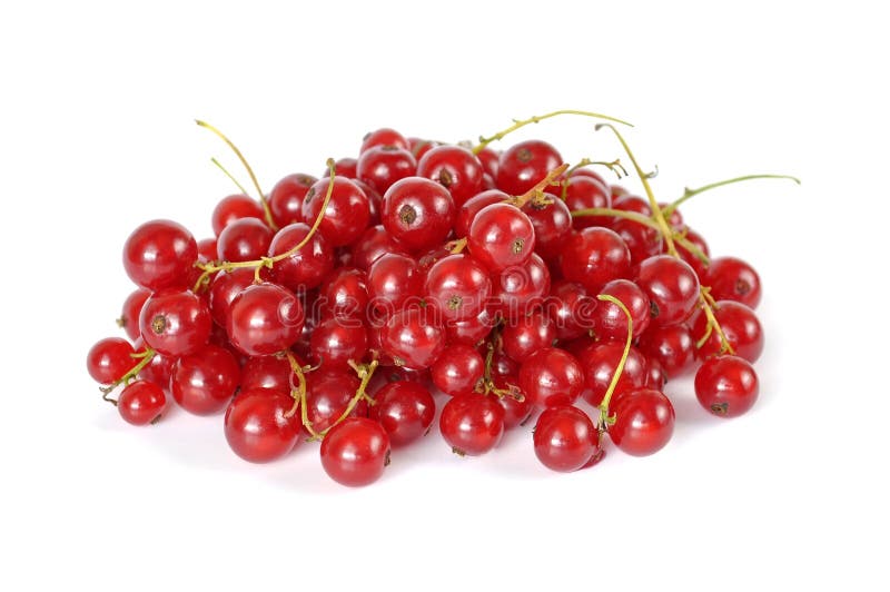Vivid Red Cherries and High Definition Cherries Stock Image - Image of ...