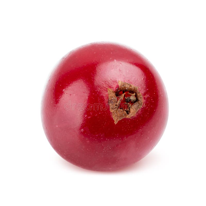 Red Currant Isolated on White Background Stock Photo - Image of ...