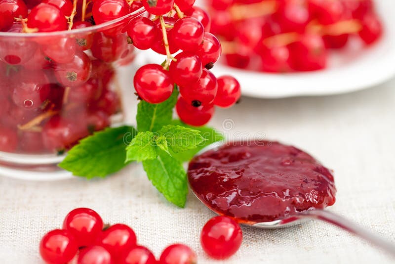 Red currant jam stock image. Image of marmalade, juicy - 43420849