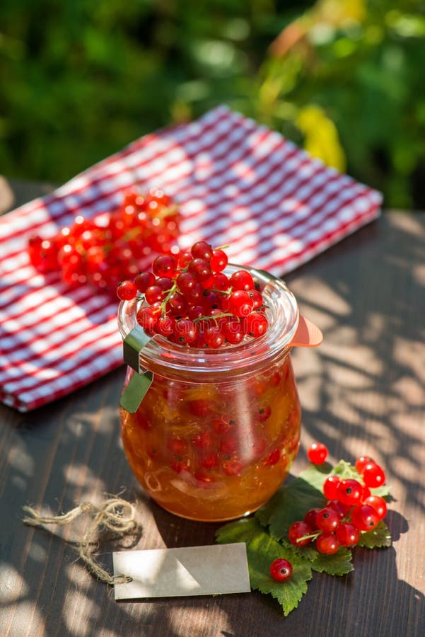 Red currant jam stock photo. Image of currant, rubrum - 33474192