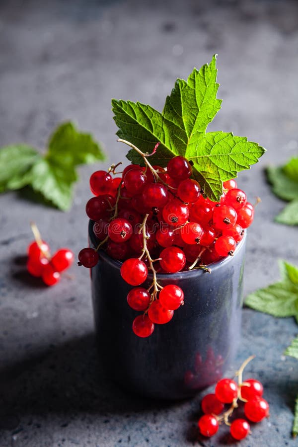 Red Currant with Leaves in a Gray Ceramic Cup on a Gray Background ...