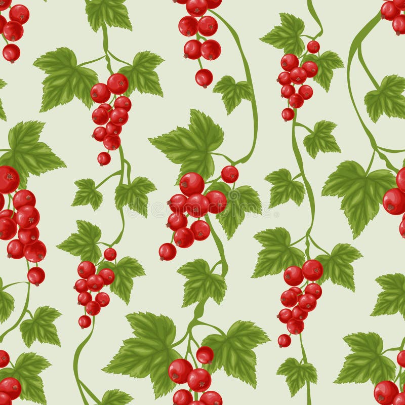 Red Currant. Seamless Pattern with the Image of Red Currant. Red ...