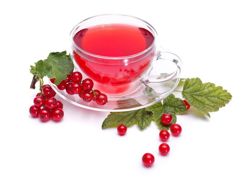 Red currant tea stock image. Image of leaves, healthy - 20425653