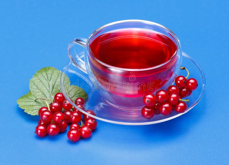 Red currant tea stock image. Image of plant, closeup - 20426061