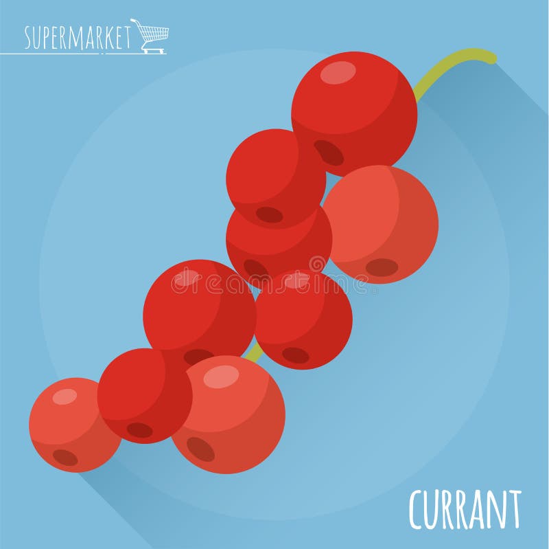 Red currant vector icon. stock vector. Illustration of menu - 85293872