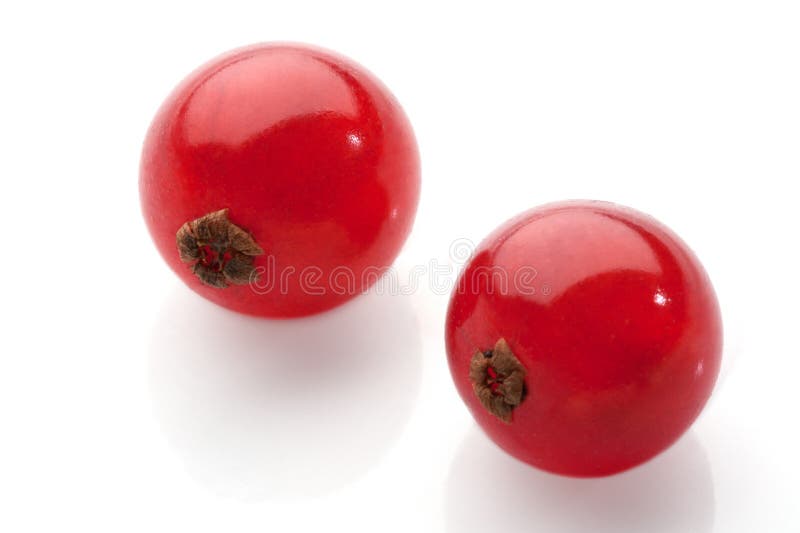 Red Currant on White Background Stock Image - Image of objects, closeup ...