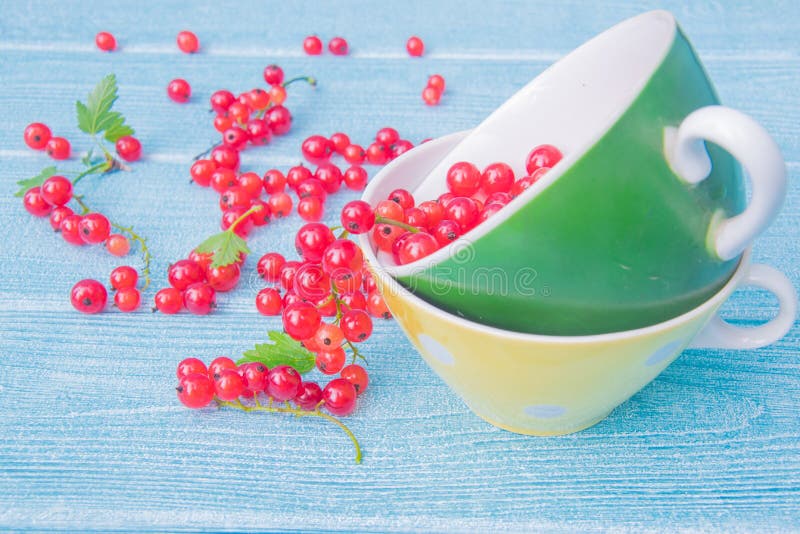 Summer Colors. Red Currant in a Yellow and Green Cups on a Light Blue ...