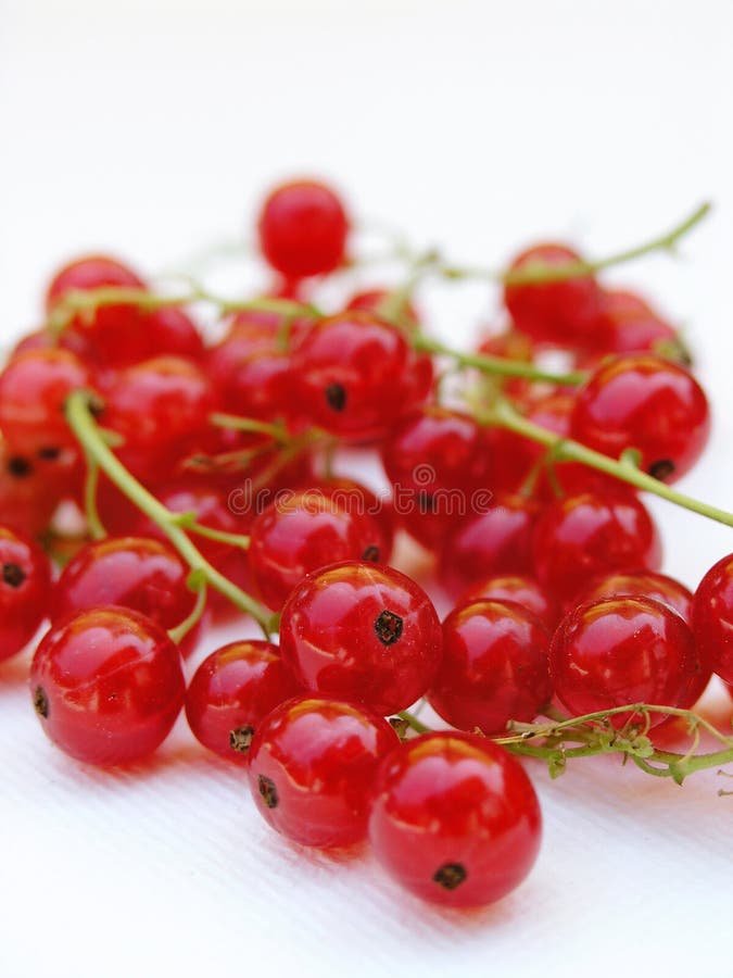 Red currants 1 stock image. Image of fruit, currant, juice - 1288215