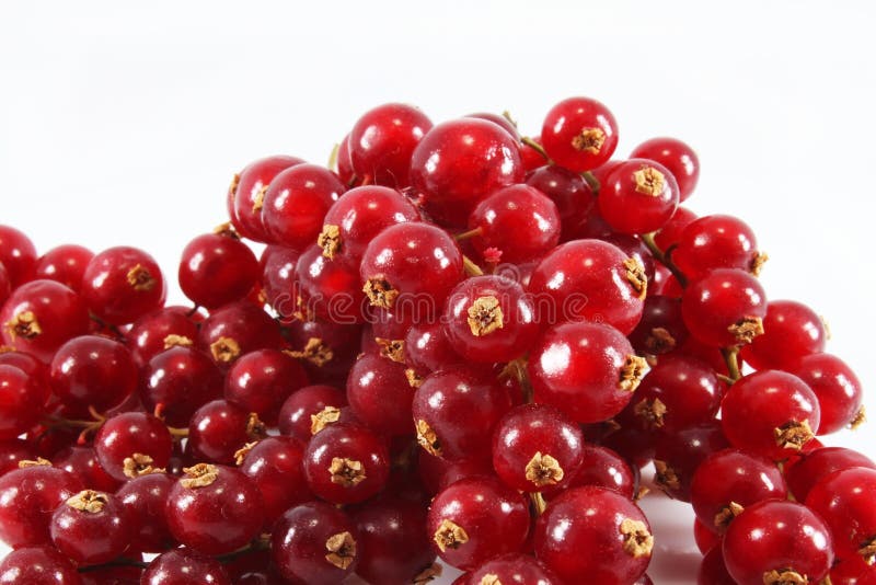 Red currants stock photo. Image of bunch, healthy, background - 18262264