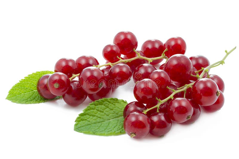 Red currants stock photo. Image of sweet, eating, fruit - 25580120