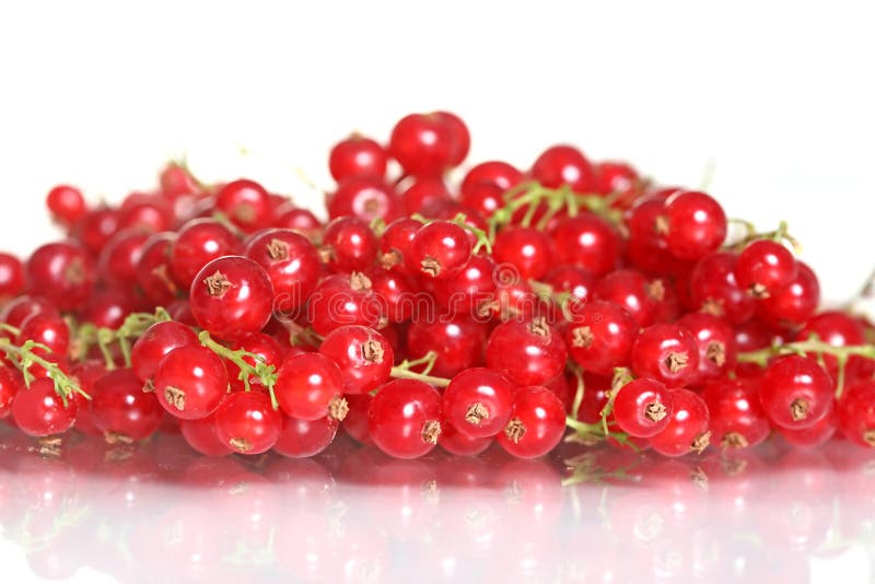 Red currants stock photo. Image of healthy, currant, soft - 9789218