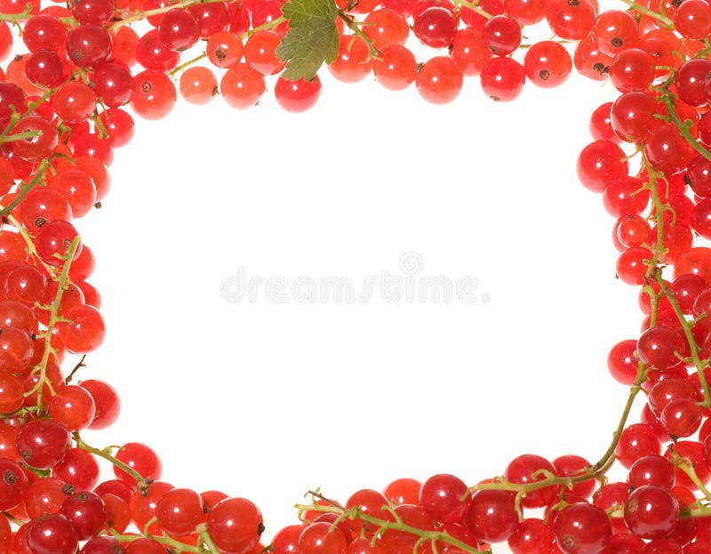 Red currants as frame stock image. Image of food, health - 10401703