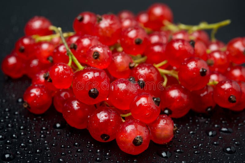 Red Currants on a Black Background, Close-up Stock Image - Image of ...