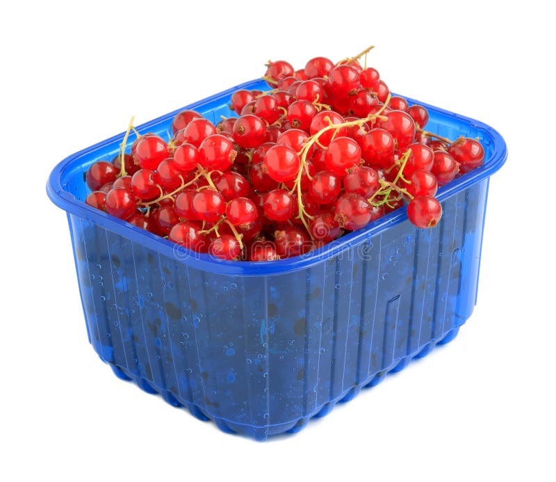 Red Currants in a Blue Box stock photo. Image of sour - 337039640