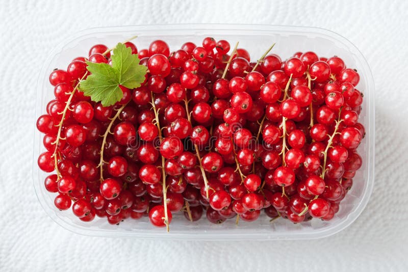 Red currants in a box stock image. Image of green, white - 32516461