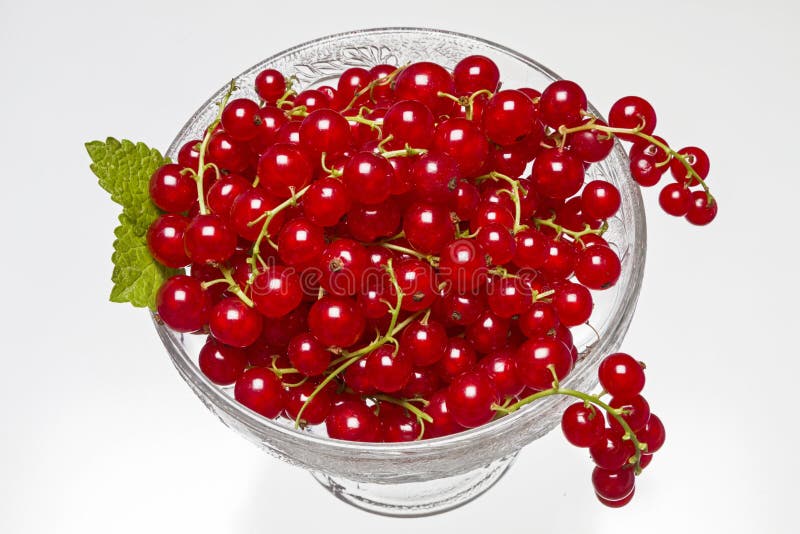 Red currants stock image. Image of sour, white, panicle - 33267485