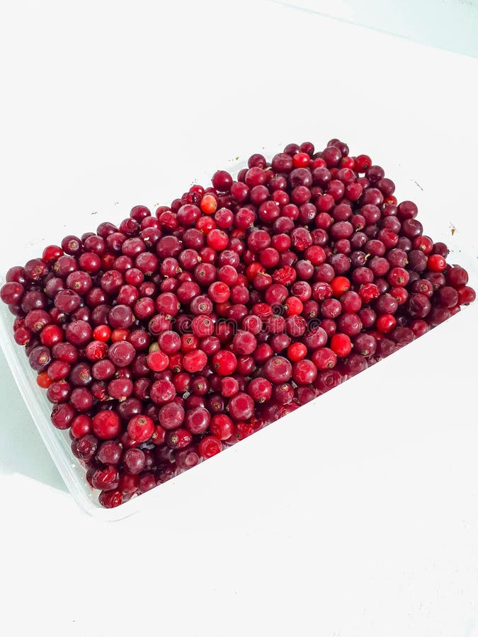 Red Currants in a Plastic Container on White Background Stock Image ...