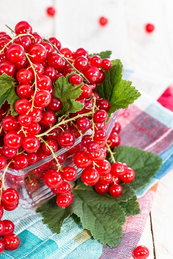 Fresh Red Currants stock image. Image of sour, organic - 33419239