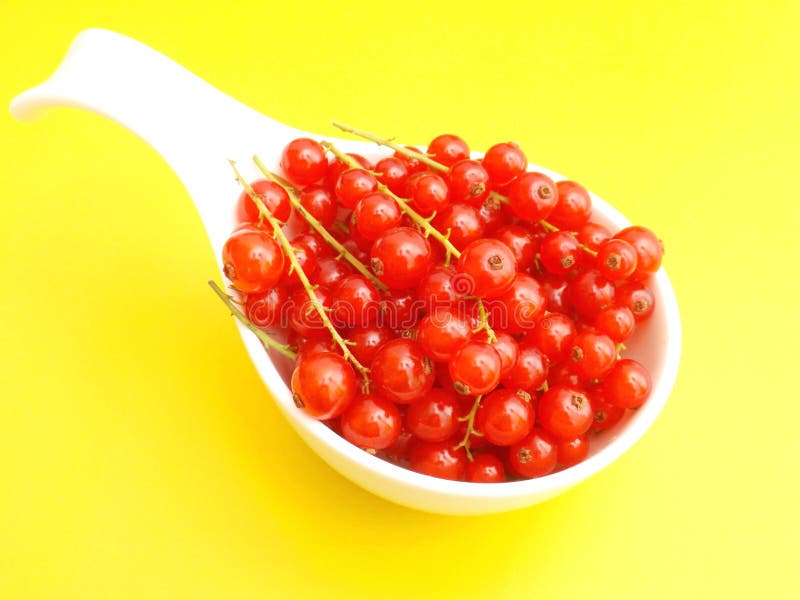 Red Currants stock photo. Image of fruit, fresh, currant - 42791398