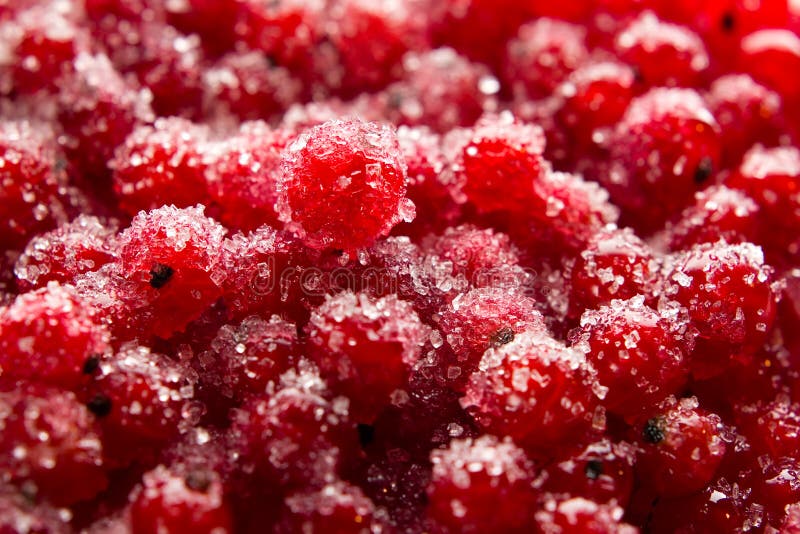 Red String Candy stock photo. Image of candy, gummy, white - 57100124