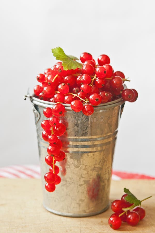 Red currants in a box stock image. Image of green, white - 32516461