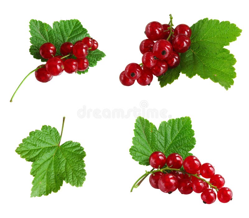 Dokoupilova - Photographer profile