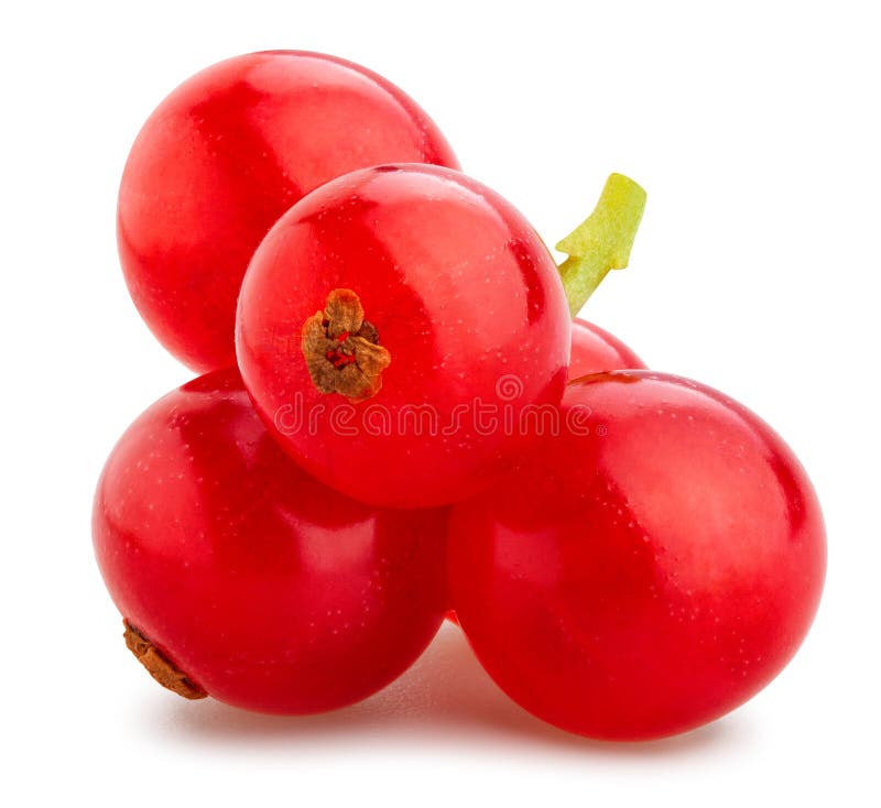 Red current stock photo. Image of fresh, single, healthy - 140717196
