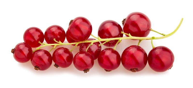Red current stock image. Image of juicy, currents, cluster - 140717497