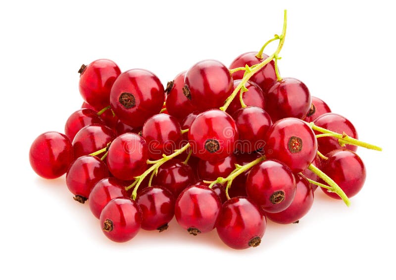 279 Red Currents White Stock Photos - Free & Royalty-Free Stock Photos ...