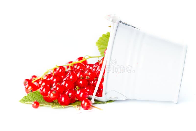 Red current stock photo. Image of cluster, leaf, macro - 36227820