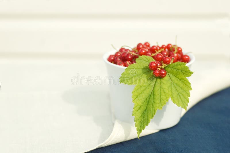 Red currents stock image. Image of gourmet, white, snack - 10440523