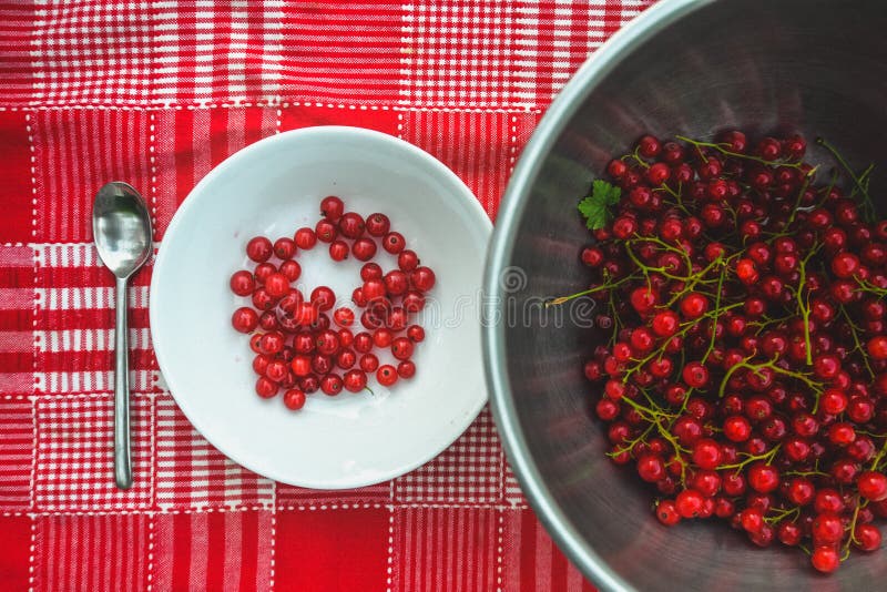 279 Red Currents White Stock Photos - Free & Royalty-Free Stock Photos ...