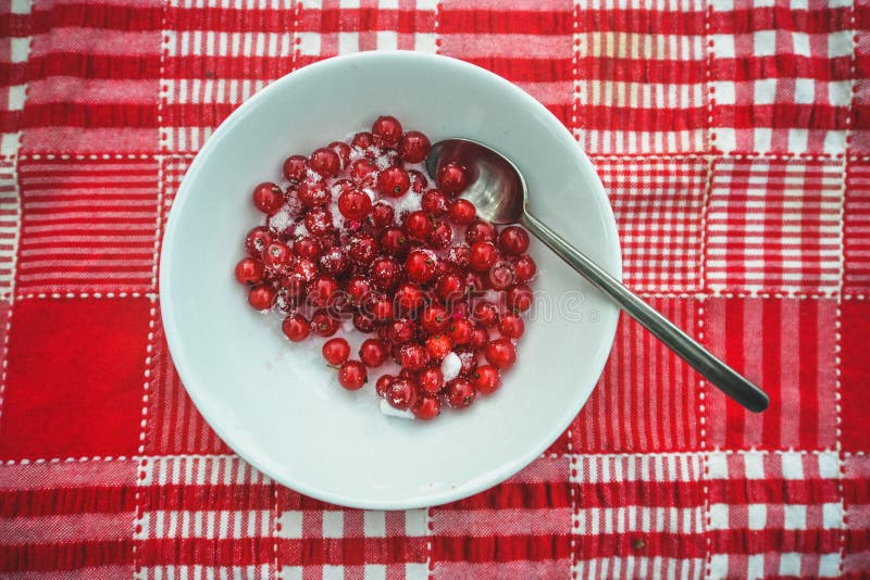279 Red Currents White Stock Photos - Free & Royalty-Free Stock Photos ...