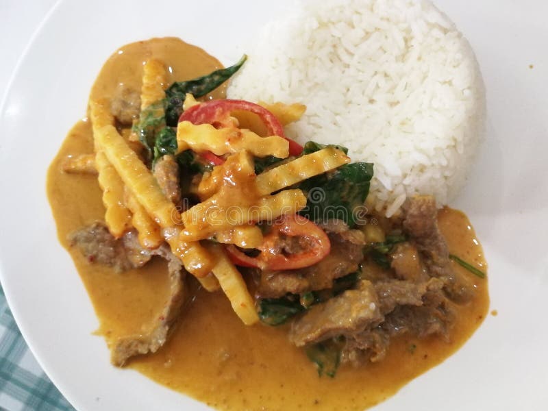 Red curry beef with rice stock image. Image of plate - 166441277