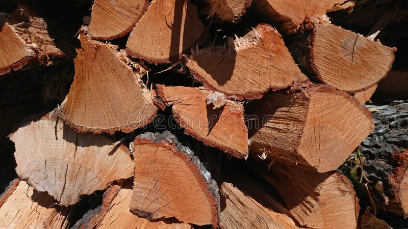 Red cut fire wood stock photo. Image of wood, closeup - 143425858