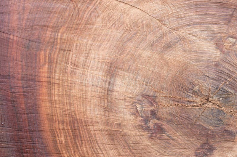 Red Cut Log with Cracks Close Stock Image - Image of abstract, detail ...