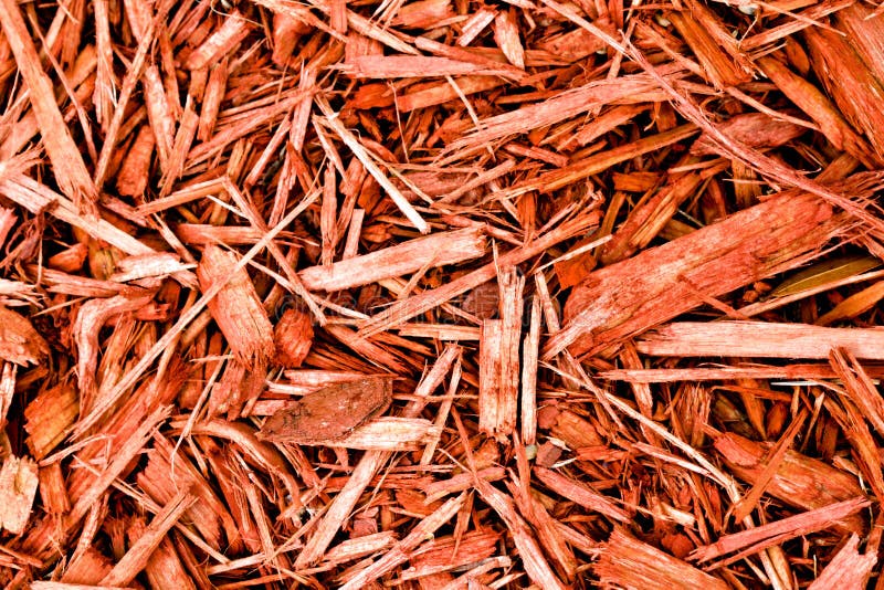 Red Cypress Mulch stock photo. Image of mulch, chips, cypress - 8617070