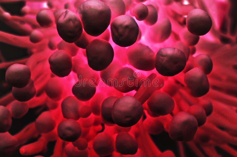 Red and Dark Science Abstract Stock Photo - Image of fluid, medical ...