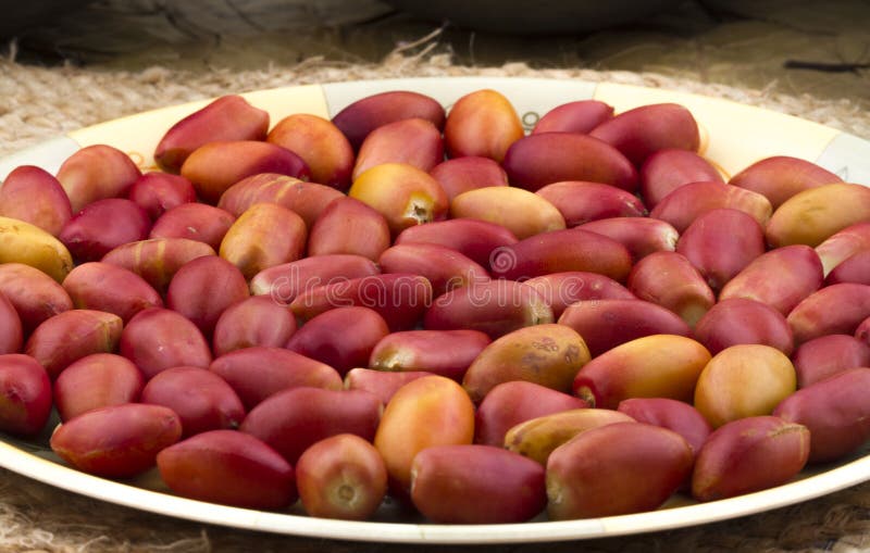 Red dates stock photo. Image of monocotyledons, climate - 41890456