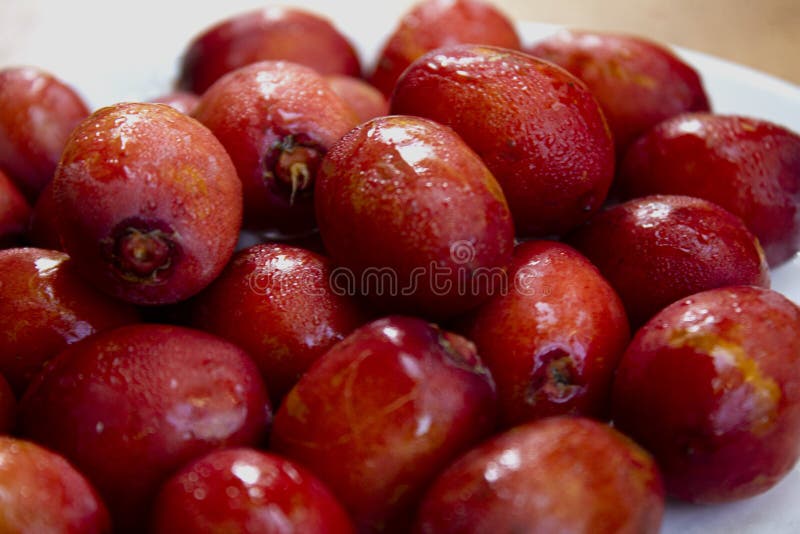 Red Dates Isolated on a Ceramic Plate Stock Image - Image of date, food ...