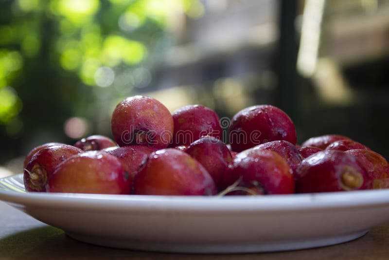 Red Premium Dates Isolated with Two Variety Dates Stock Photo - Image ...