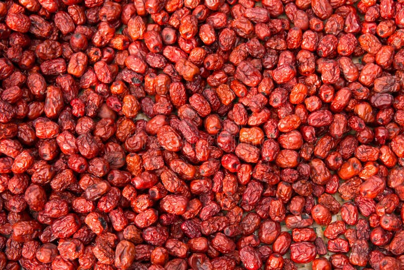 Red dates stock photo. Image of fruitage, agriculture - 41767700